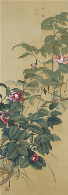 Camellia | TFAM