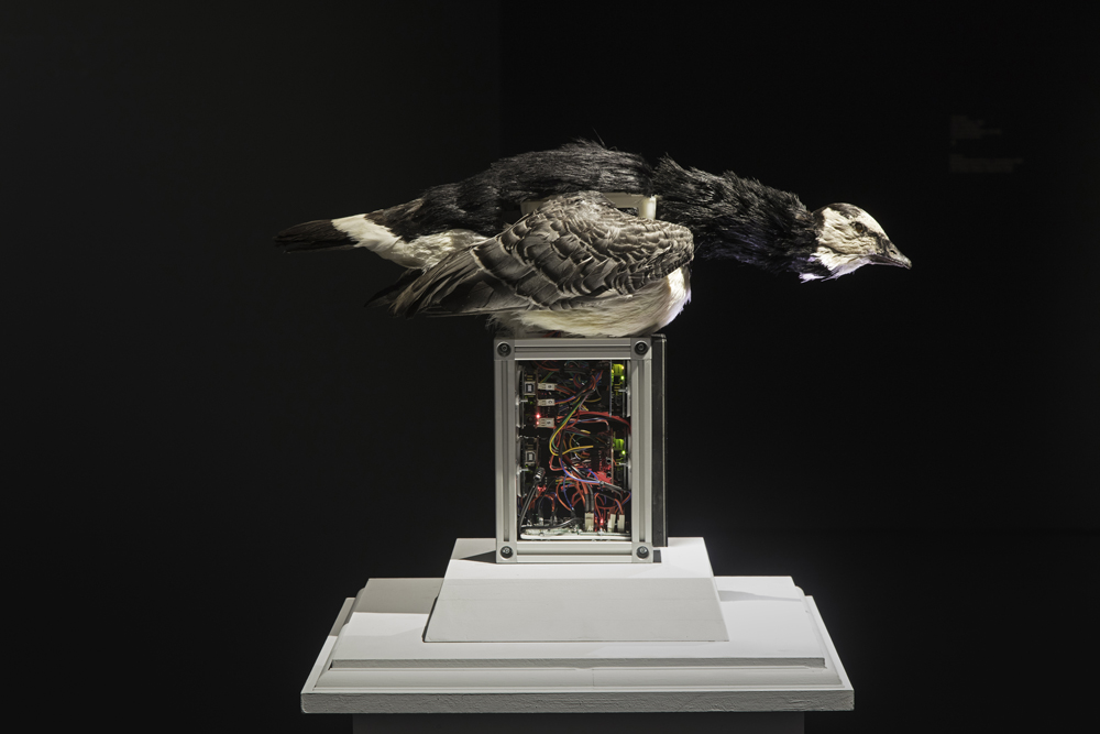 Kosmos : Chang Ting-Tong Solo Exhibition | TFAM