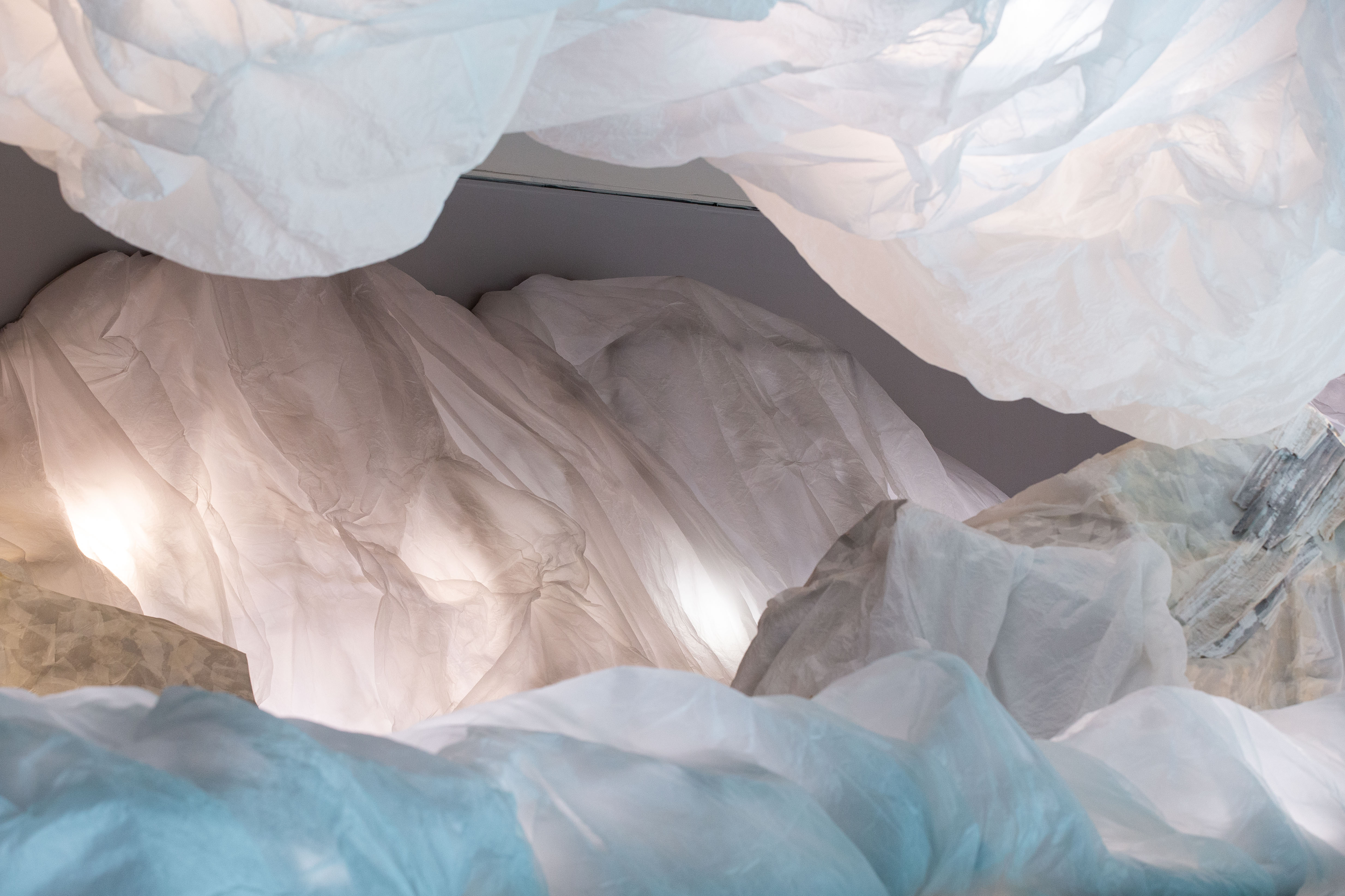 HETEROGENEOUS | TFAM