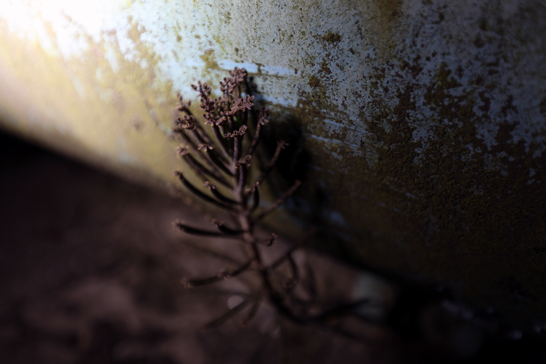 Thing in Itself - CHEN Wen-Chi Solo Exhibition | TFAM