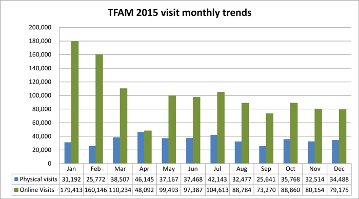 Visitors Analysis | TFAM